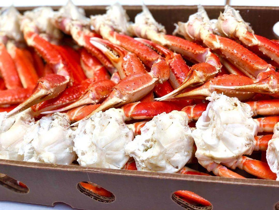 Snow crab - Kildare Fisheries