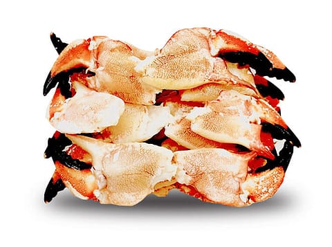 Jonah crab - Kildare Fisheries