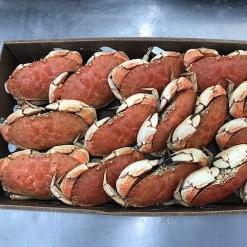 Jonah crab - Kildare Fisheries