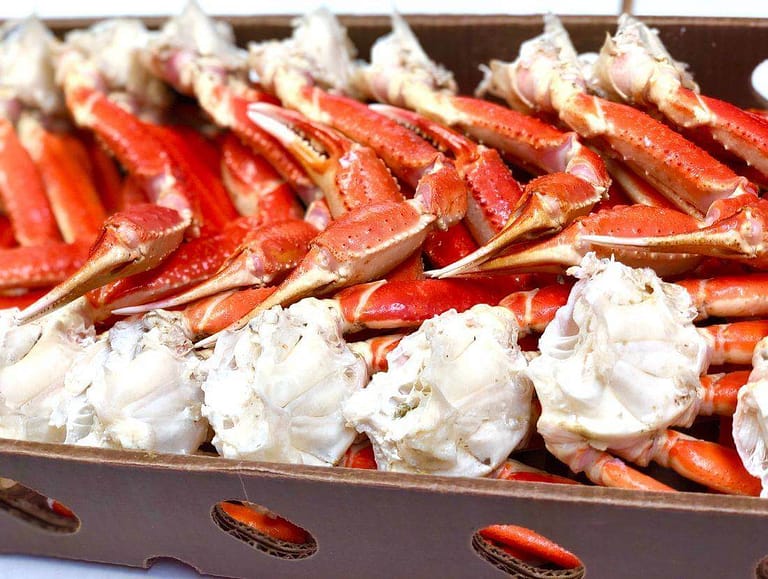 Snow crab - Kildare Fisheries